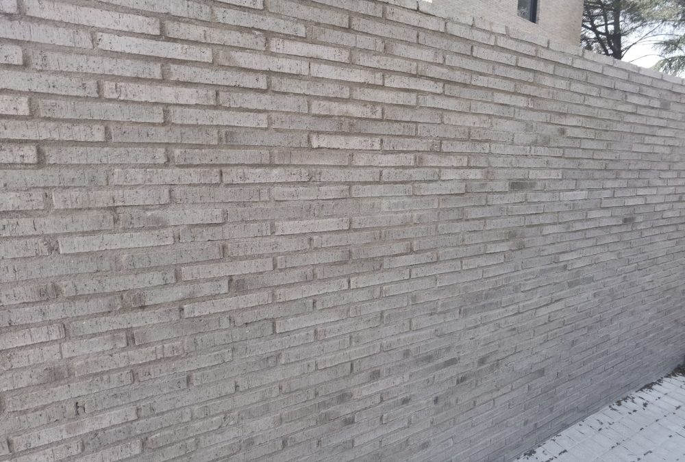 Alcotán 11 – Las Losas